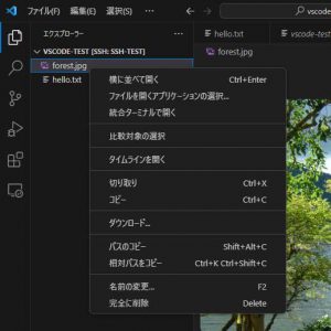 ラズパイbookworm対応、vscodeのssh接続でPCからラズパイにファイルを転送する | Yagifulのブログ