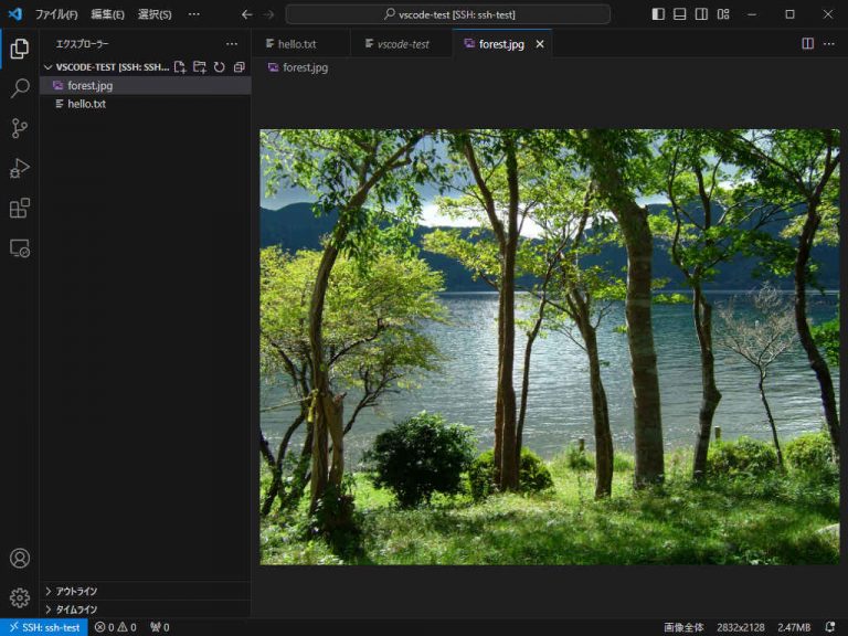 ラズパイbookworm対応、vscodeのssh接続でPCからラズパイにファイルを転送する | Yagifulのブログ